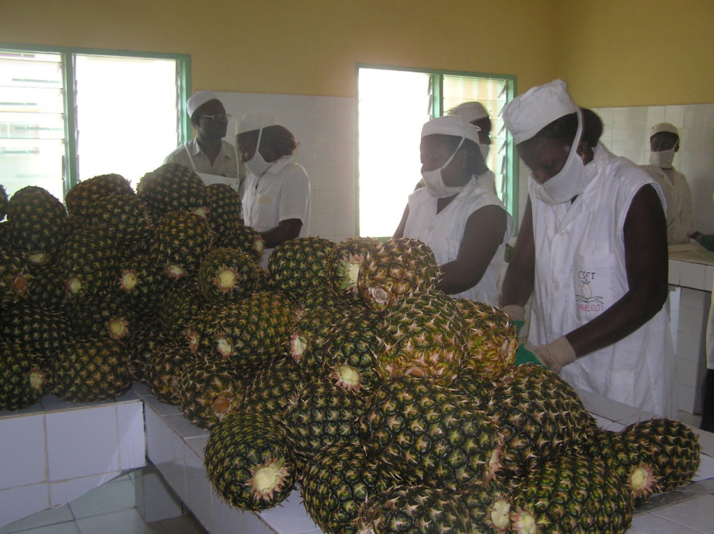 La production en fruits séchés et jus de fruits du CSFT