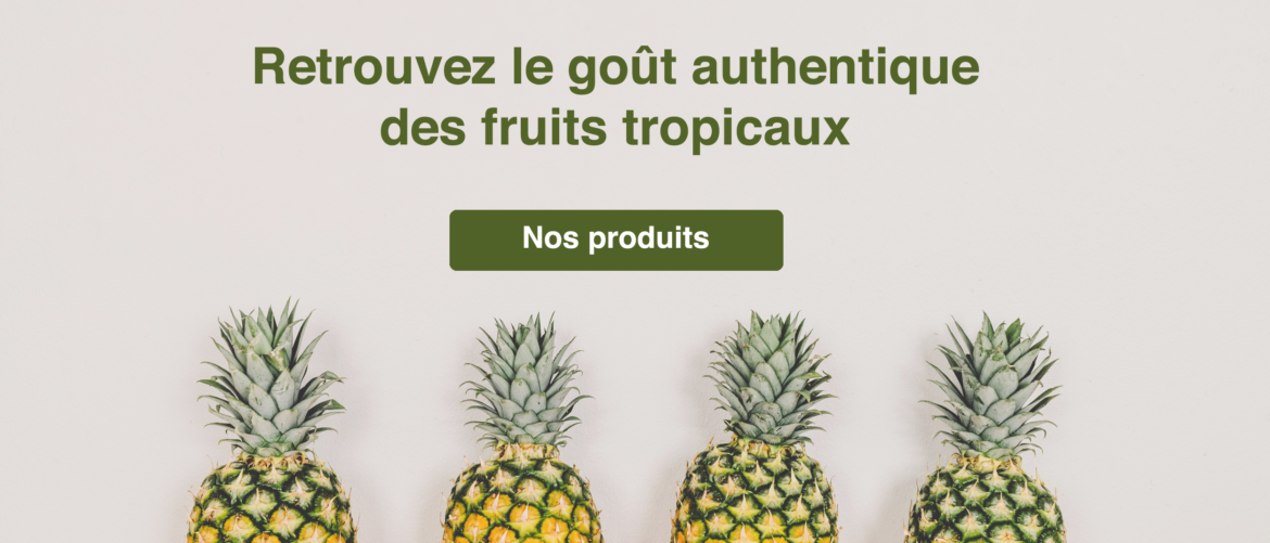 CSFT - Centre de Séchage de Fruits Tropicaux