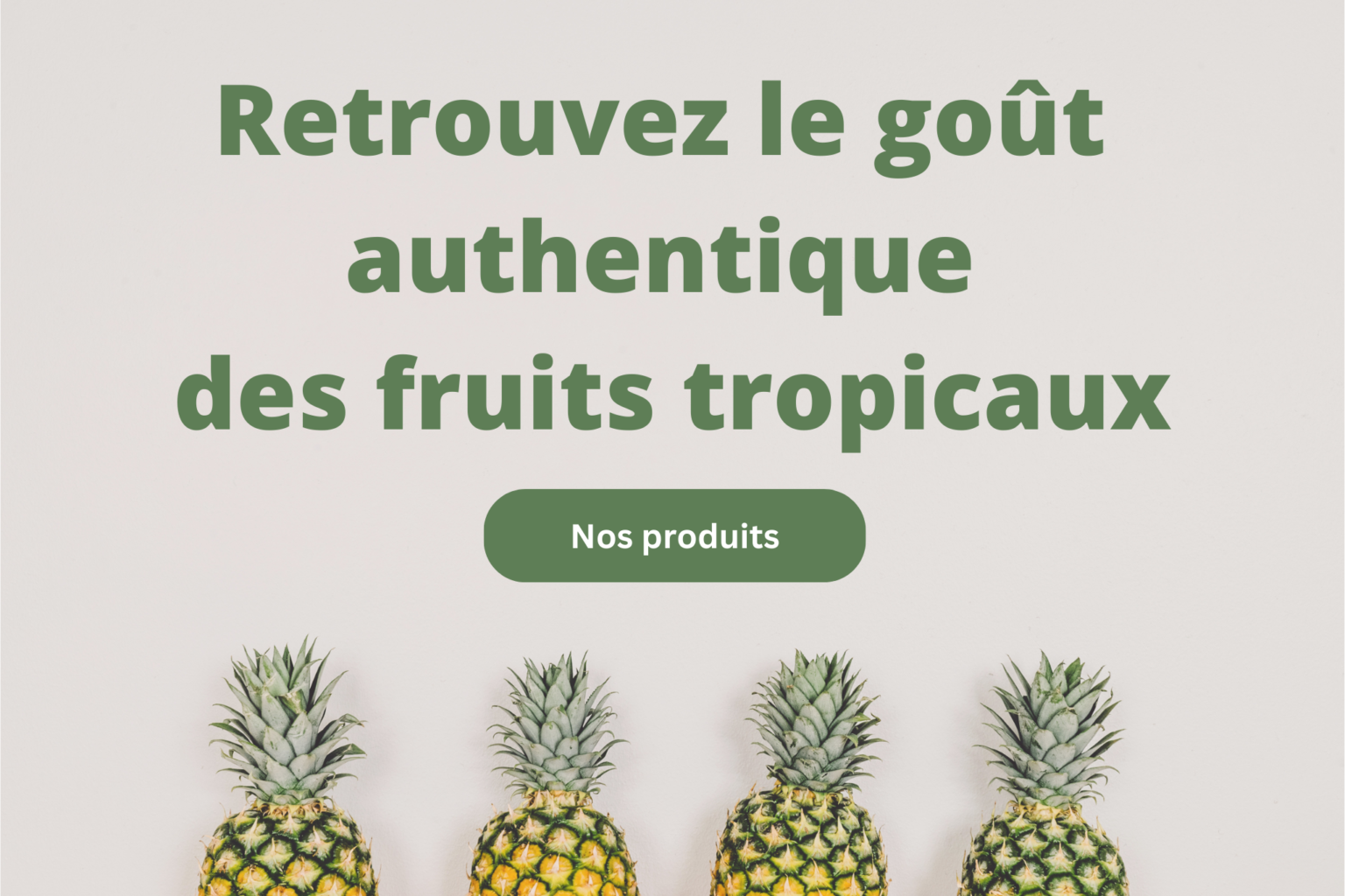 CSFT - Centre de Séchage de Fruits Tropicaux